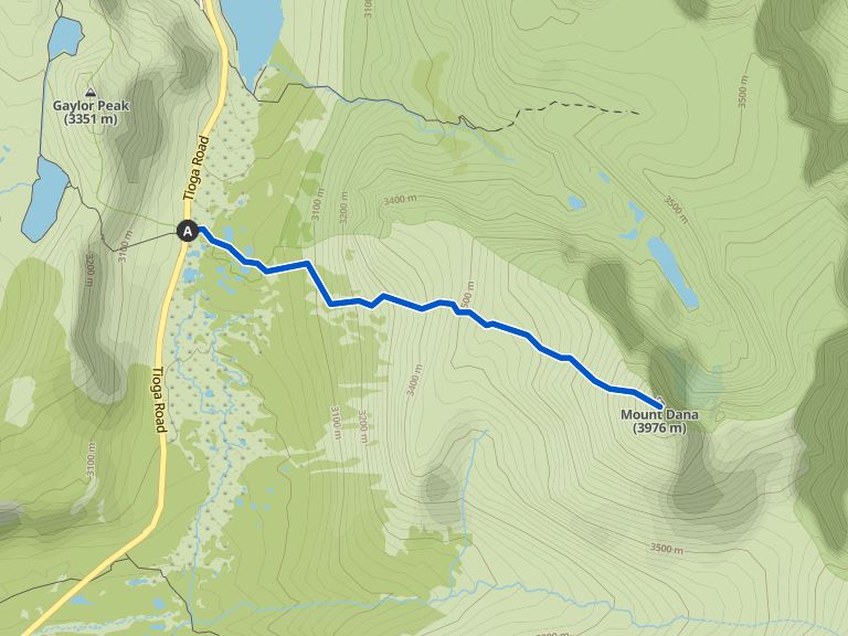 Mount Dana - Yosemite National Park | wycieczka piesza | Komoot